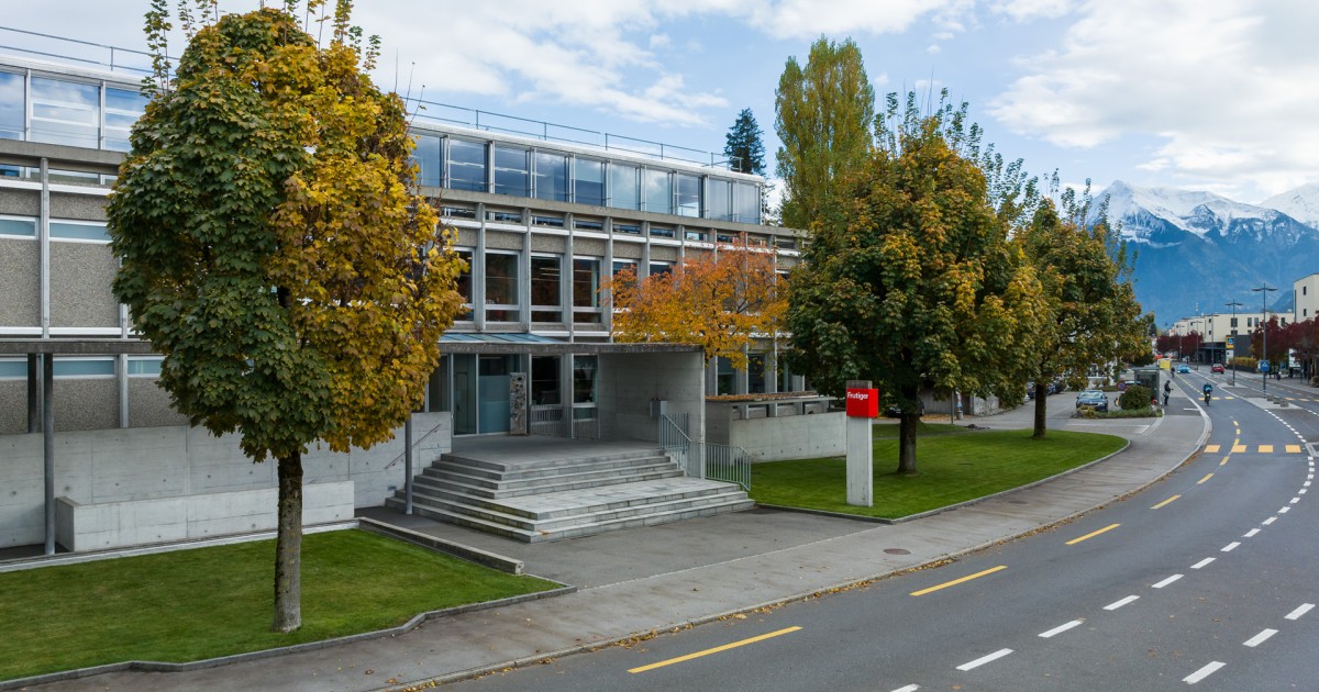 Frutiger Gruppe: Kompetenzen und Standorte